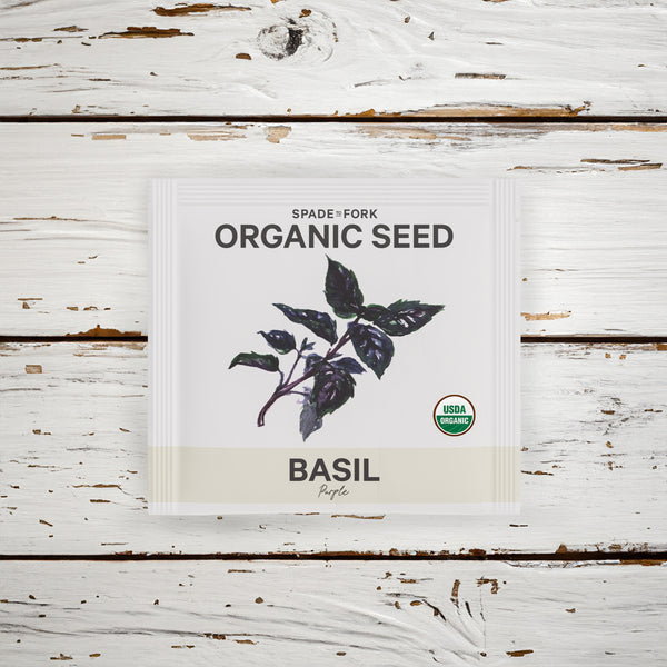 Organic Purple Basil - Spade To Fork