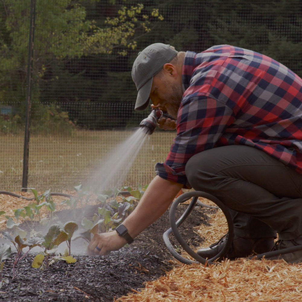 About Us - Spade To Fork