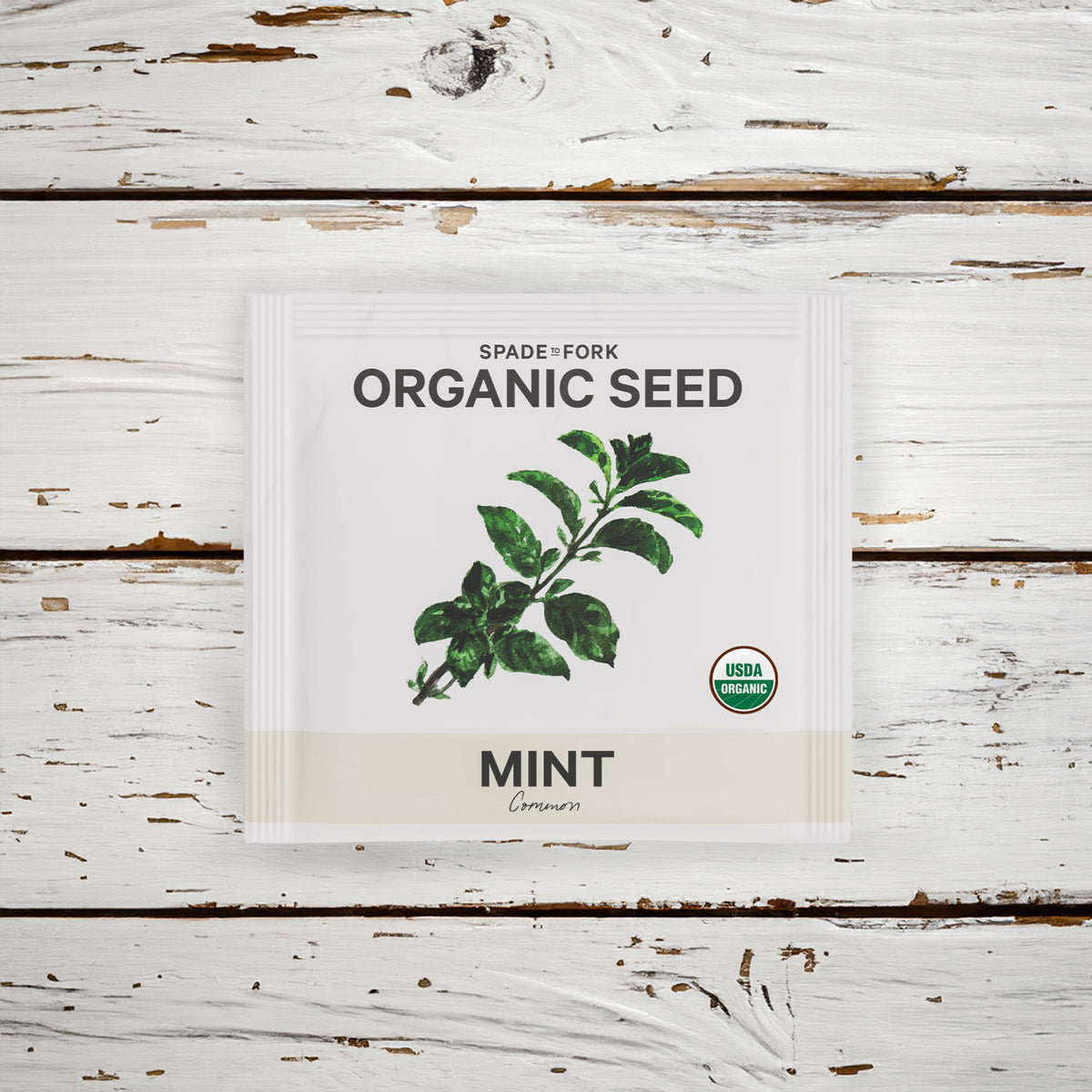 Mint Grow Guide: How to Plant, Grow and Harvest Mint (Without Letting ...
