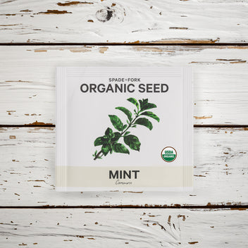 Mint Grow Guide: How to Plant, Grow and Harvest Mint (Without Letting ...