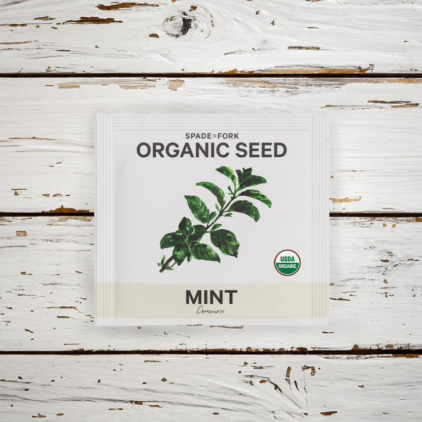 Mint Grow Guide: How to Plant, Grow and Harvest Mint (Without Letting ...