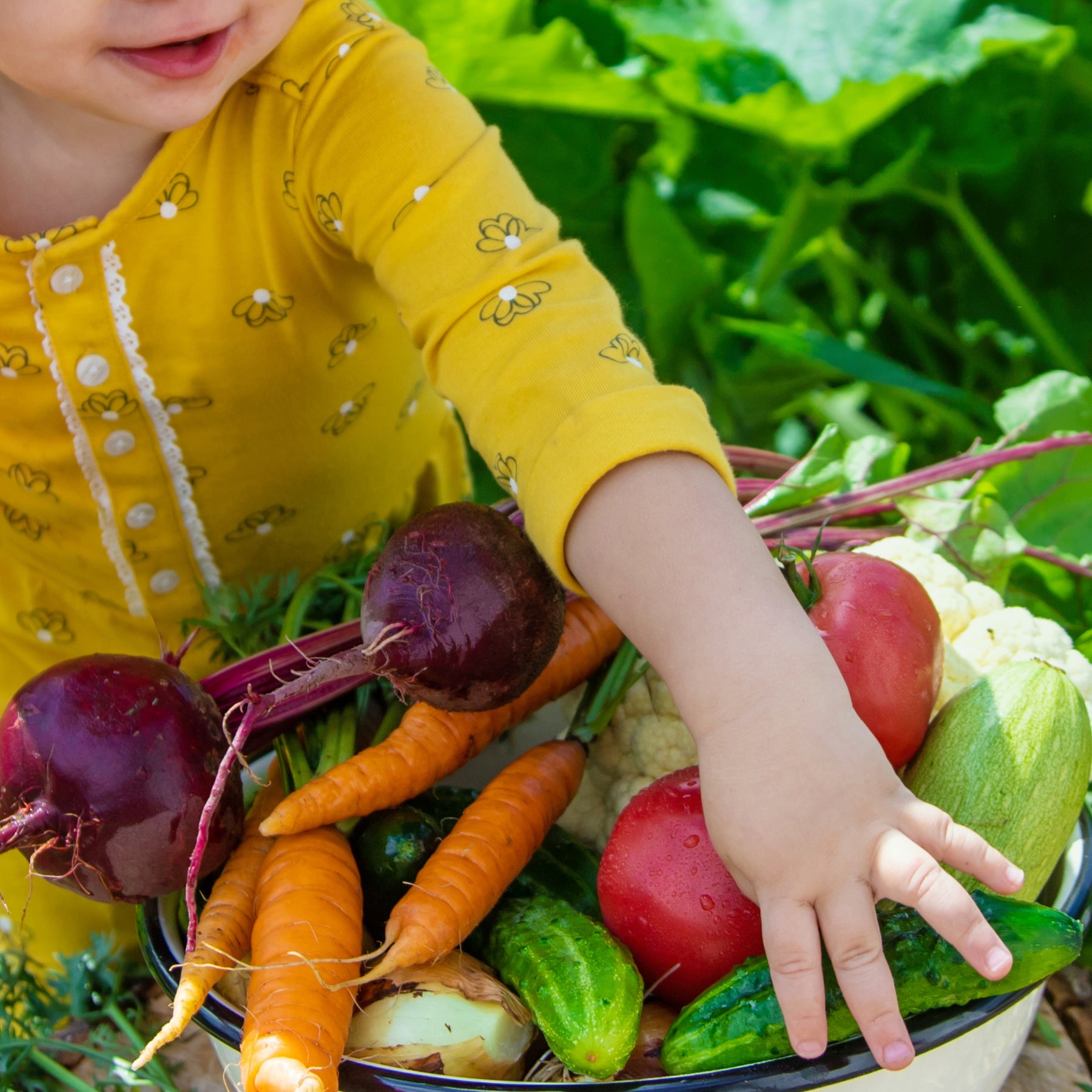 Sage Grow Guide: How to Plant, Grow and Harvest Sage - Spade To Fork